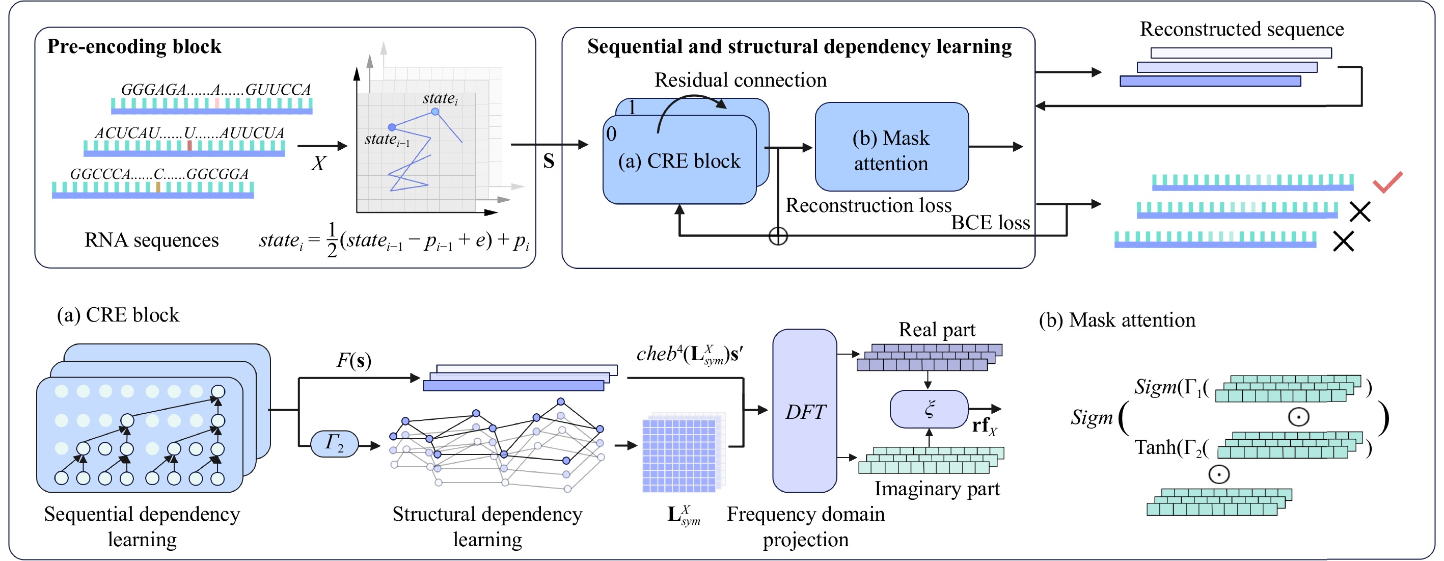 Learning Sequential and Structural Dependencies Between Nucleotides for RNA N6-Methyla-denosine ...